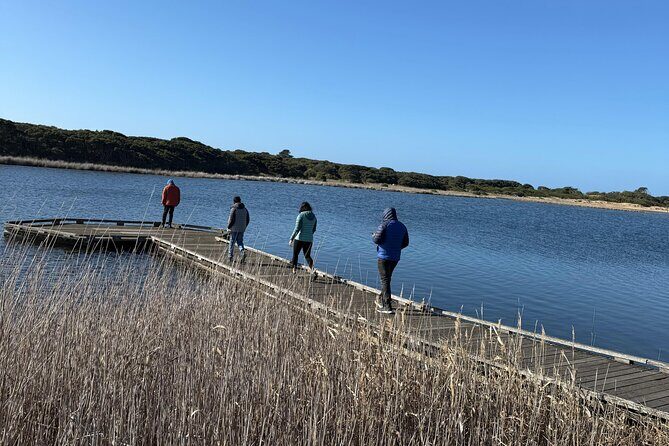 Great Ocean Road and 12 Apostles Private Day Tour - The Experience from the Reviews