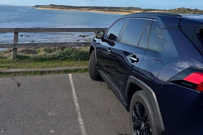 Great Ocean Road and 12 Apostles Private Day Tour - Who This Tour Is Best For