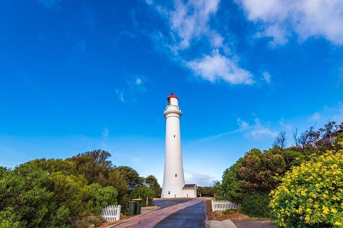 Great Ocean Road and 12 Apostles Tour - In-Depth Look at the Itinerary