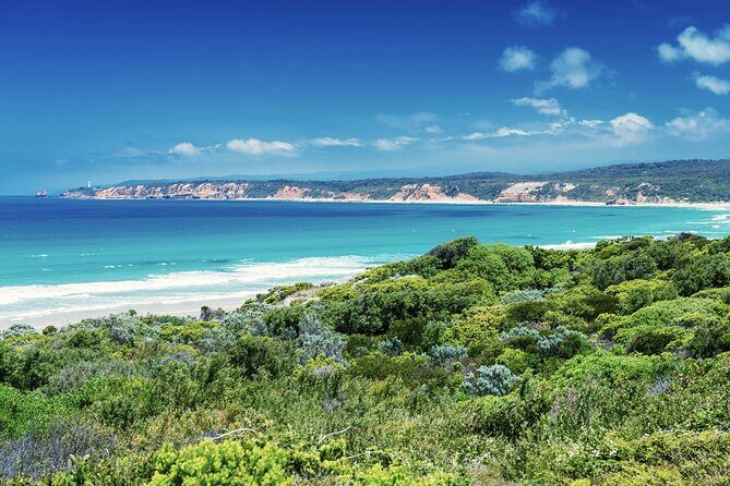 Great Ocean Road and 12 Apostles Tour - FAQ