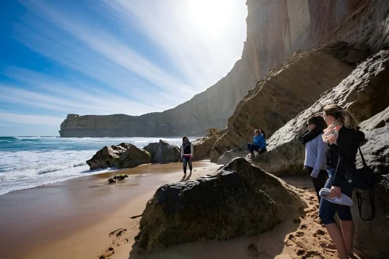 Great Ocean Road and Wildlife Day Tour - Exploring the Itinerary: What You Can Expect
