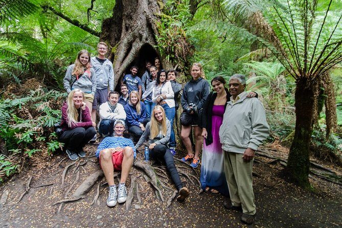 Great Ocean Road Grampians 2 Day Overnight Tour from Melbourne - An Authentic Look at the 2-Day Itinerary
