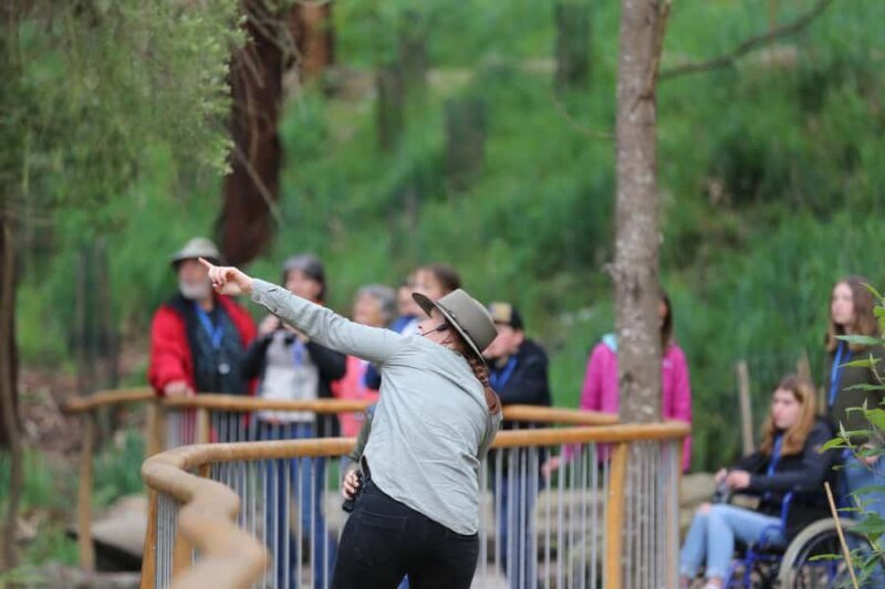 Great Ocean Road: Guided Wildlife Walk that Supports Nature - Introduction