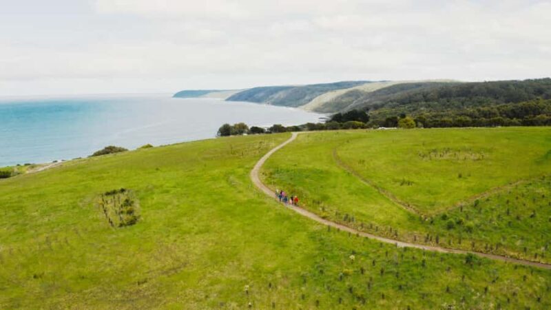 Great Ocean Road: Guided Wildlife Walk that Supports Nature - Final Thoughts: Who Will Love This Experience?