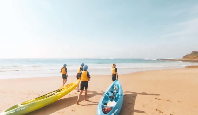Great Ocean Road: Kayaking with Seals Tour - The Practical Side