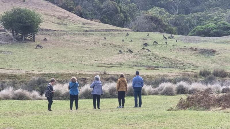 Great Ocean Road Lux Tour Max 11 Hotel Pickup - Considerations Before Booking