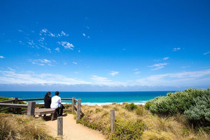 Great Ocean Road Private Group Tour in Melbourne - Who Should Consider This Tour?