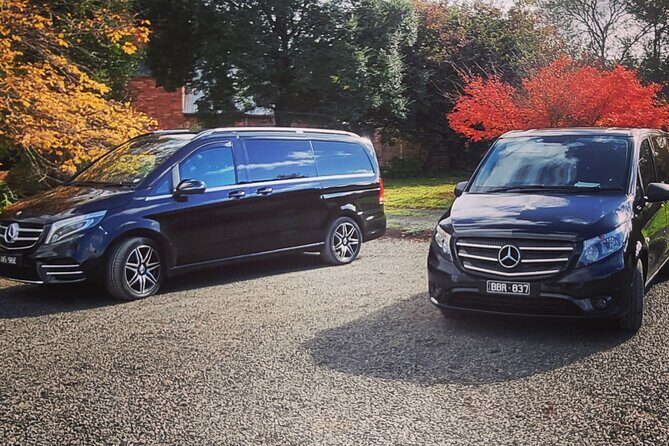 Great Ocean Road Private Luxury Tour - Who Will Love This Tour?