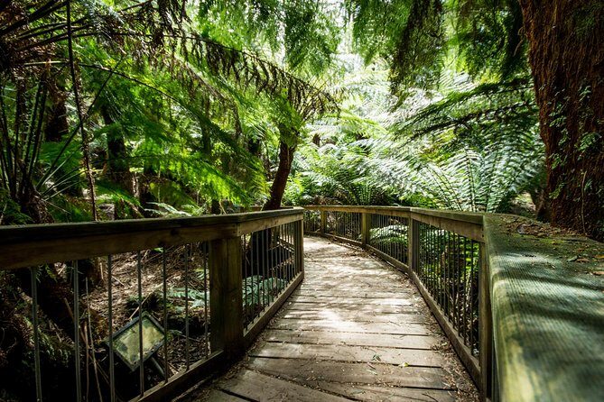 Great Ocean Road Reverse Itinerary with 12 Apostles from Melbourne - What’s Included and Why It Matters