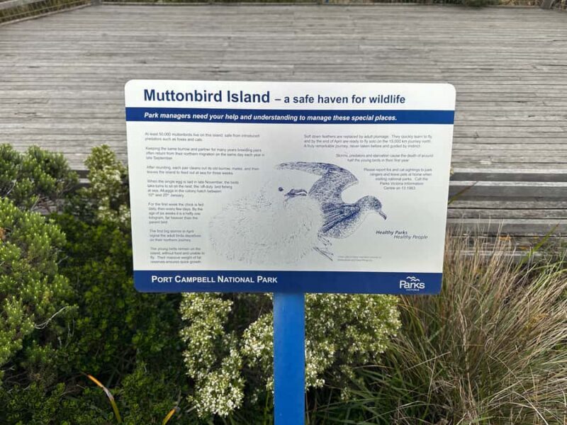 Great Ocean Road reverse Sunrise Tour - Who Is This Tour Best For?