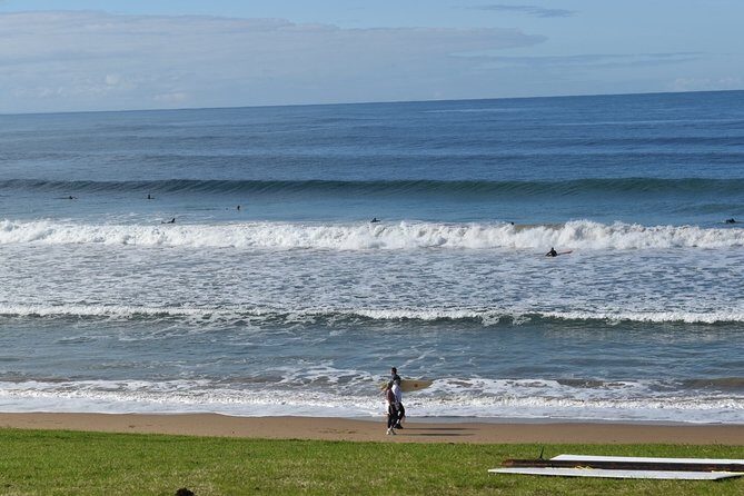 Great Ocean Road Tour Plus Koalas, Forest Walk and Morning Tea - The Value for Money