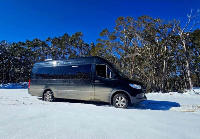 Great Private Tours Luxe Bus Lake Mountain Snow Play Tour - Why This Tour Offers Good Value