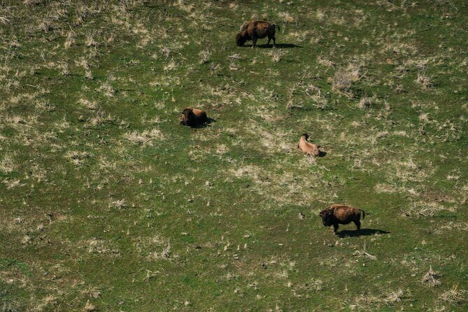 Great Salt Lake Flying Tour - FAQs