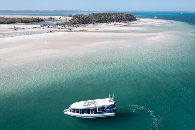 Great Sandy Straits Seven Island Ultimate Wildlife Cruise - Great Sandy Straits Seven Island Ultimate Wildlife Cruise: A Detailed Review