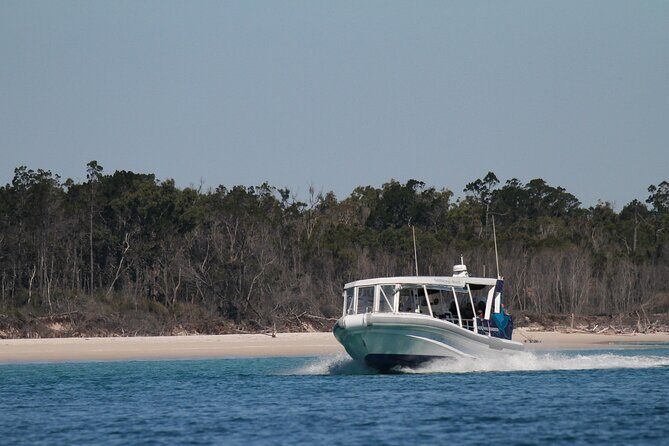 Great Sandy Straits Seven Island Ultimate Wildlife Cruise - Exploring the Itinerary: What Makes Each Stop Special