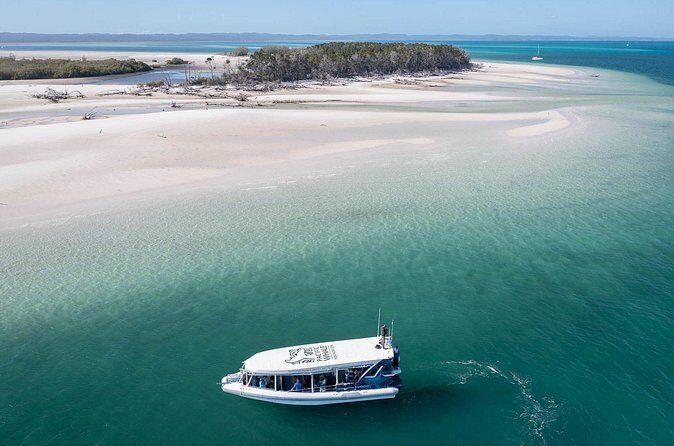 Great Sandy Straits Seven Island Ultimate Wildlife Cruise - Who Is This Tour Best For?