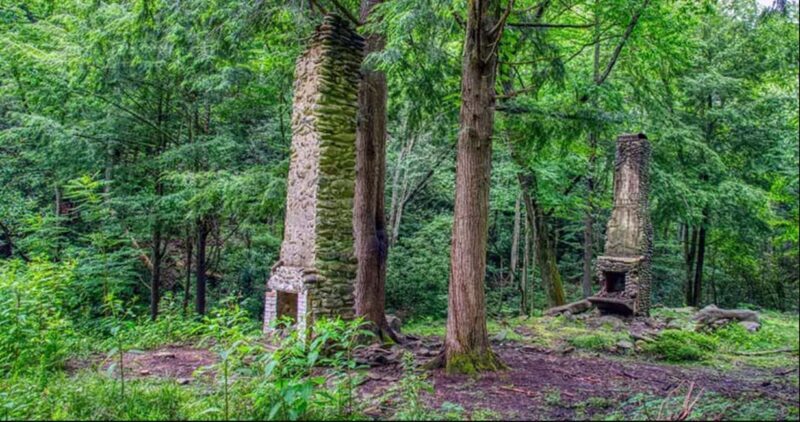 Great Smoky Mountains: Elkmont Historic District Tour - Who Should Consider This Tour?