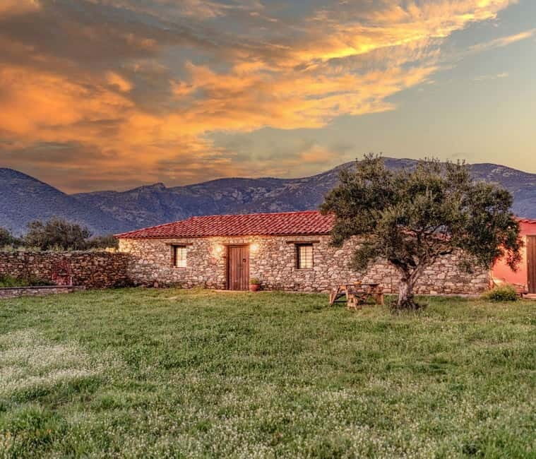 Greece in a Drop: Olive Grove Walk and Olive Oil Tasting - Key Points