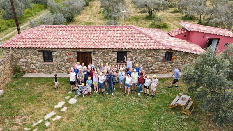 Greece in a Drop: Olive Grove Walk and Olive Oil Tasting - Frequently Asked Questions