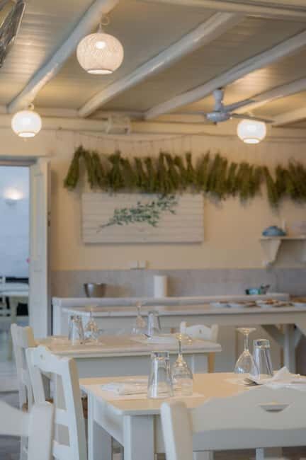 Greek Night at Anezina Village, Drios - Final Thoughts  