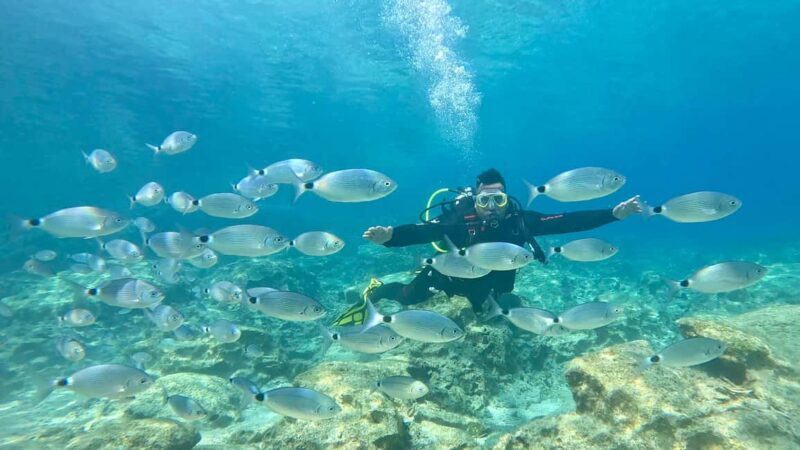 Green Bay Cyprus - Scuba diving - Guided Dive or Try Dive - What to Expect and Practical Tips