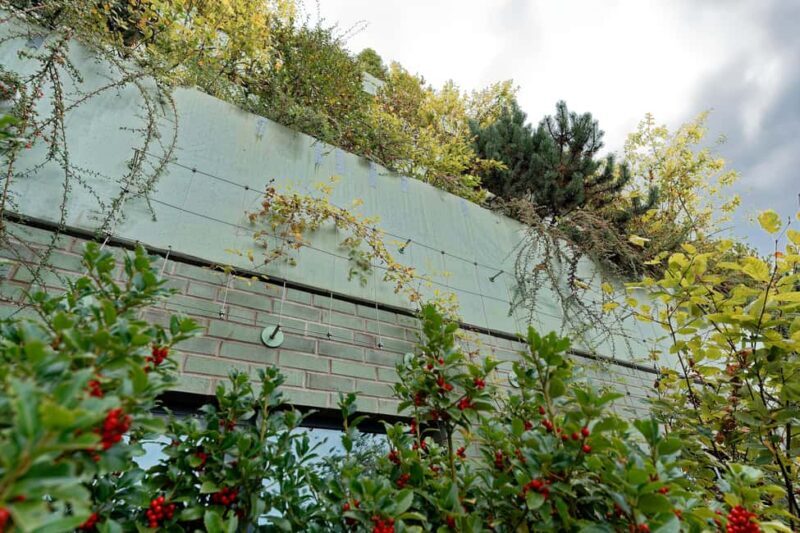 Green Bunker Tour on St. Pauli the original - Who Should Book This Tour?