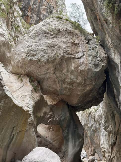 Green Canyon Boat Trip with Lunch and Drinks from Antalya - A Closer Look at the Green Canyon Boat Trip