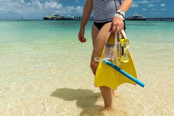 Green Island Day Trip from Cairns - What Do Visitors Say? Authentic Insights