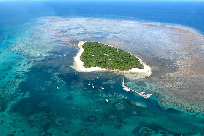 Green Island Day Trip from Cairns with Beaches Transfers - Green Island Day Trip from Cairns with Beaches Transfers — A Practical Guide