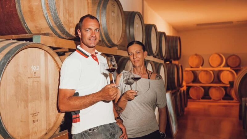 Greve in Chianti: Tour and tasting of organic Chianti Classico and Tuscan snacks - Key Points