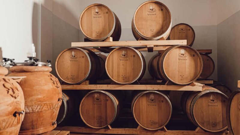 Greve in Chianti: Tour and tasting of organic Chianti Classico and Tuscan snacks - Who Will Love This Tour?