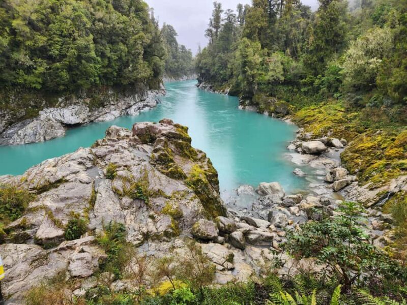 Greymouth: Hokitika Gorge and Tree Top Walkway Half-Day Tour - Value and Overall Impression