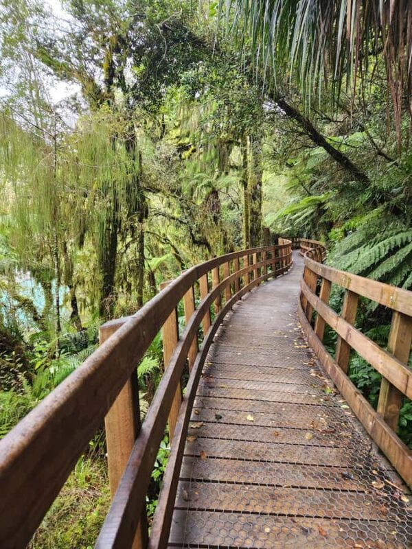 Greymouth: Hokitika Gorge and Tree Top Walkway Half-Day Tour - FAQs