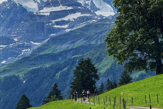 Griesalp UNESCO Alpine E-Bike Adventure from Interlaken - Authentic Experiences and Highlights from Reviewers