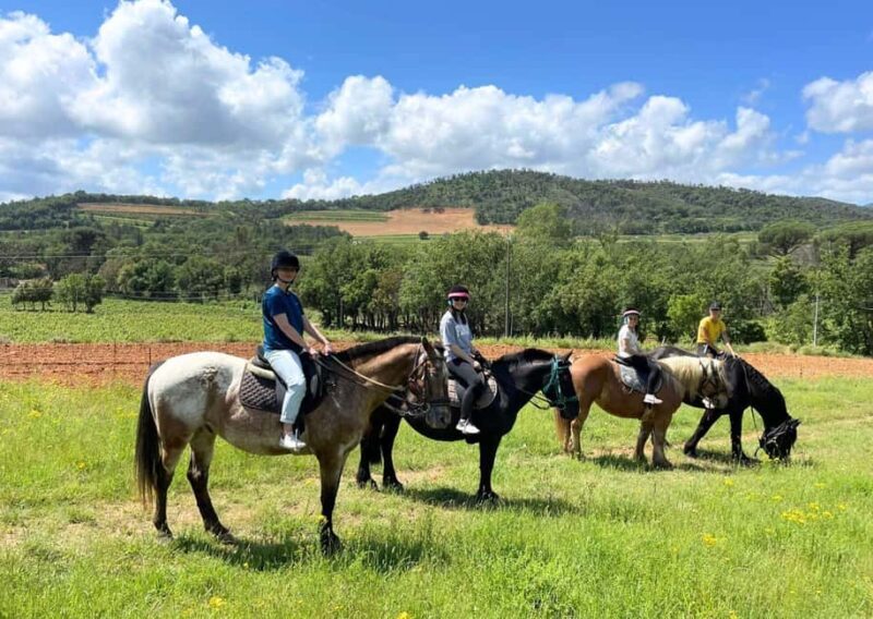 Grimaud: Horseback Riding & Wine Tasting in Maures Forest - Exploring the Horseback Riding & Wine Tasting Tour in Maures Forest, Grimaud