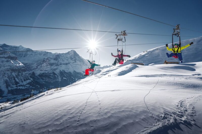 Grindelwald Gondola Ride to Mount First - Weather and Visibility: The Wild Card
