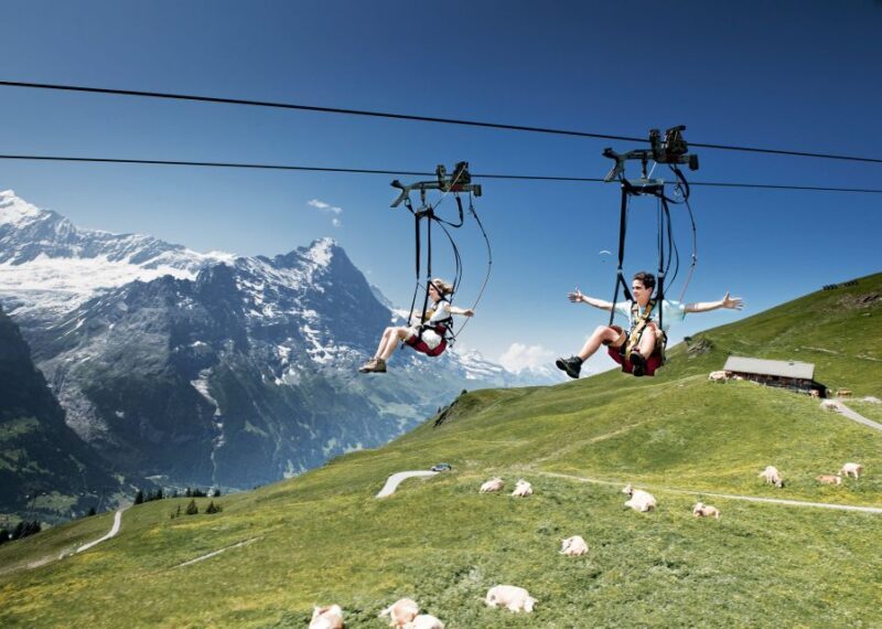 Grindelwald Gondola Ride to Mount First - Who Should Consider This Tour?