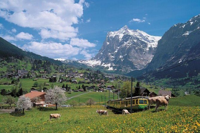 Grindelwald, Interlaken and Lauterbrunnen Day Trip from Lucerne - What to Expect: Practical Details