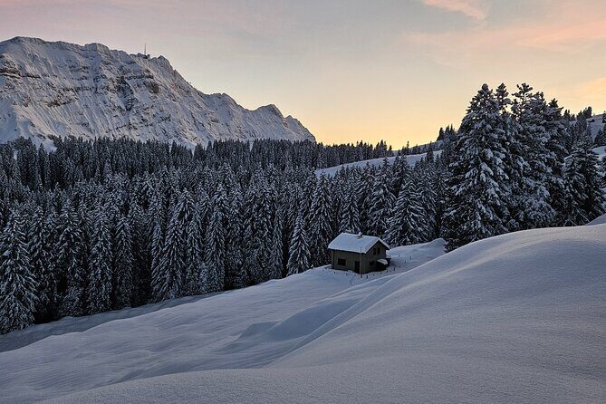 Grindelwald, Lauterbrunnen Lungern Interlaken Semi-Private - Who Would Love This Tour?