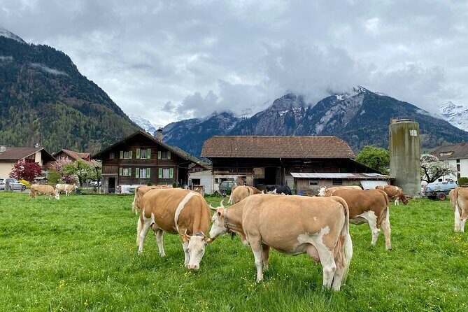 Grindelwald, Lauterbrunnen & Mürren Private Day Trip from Zurich - Who Should Consider This Tour?
