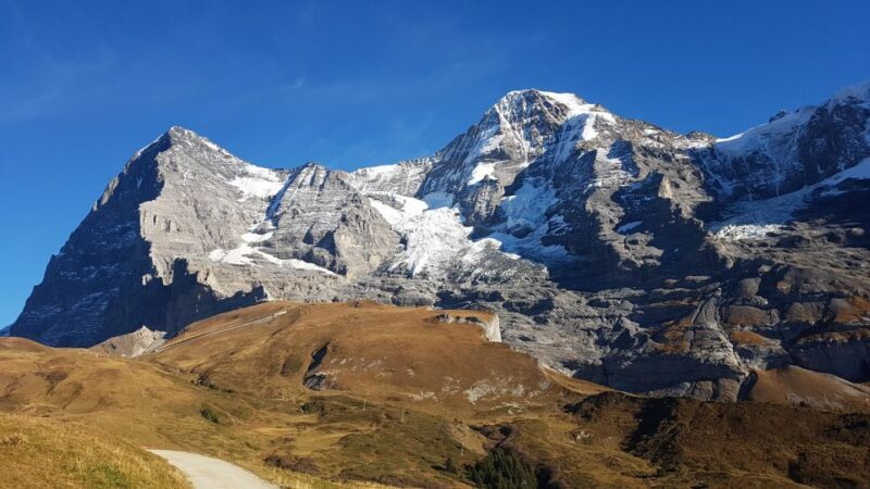 Grindelwald -Scheidegg-Lauterbrunnen Small Group Day Trip - Authentic Experiences and Reviewer Insights
