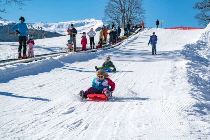 Grindelwald: Sledding at Bodmi Arena - Key Points