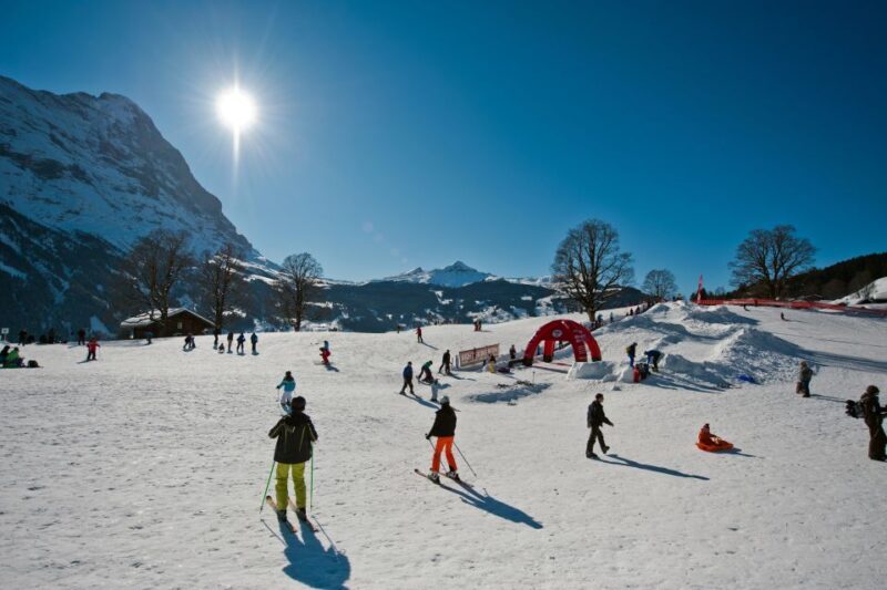 Grindelwald: Sledding at Bodmi Arena - Is Bodmi Arena Worth It?