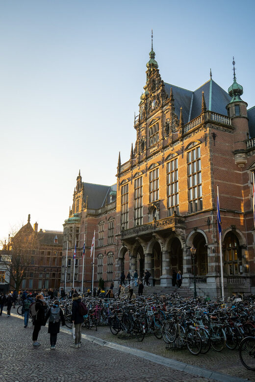 Groningen: Walking Tour with Local Guide - Authentic Insights from Reviews