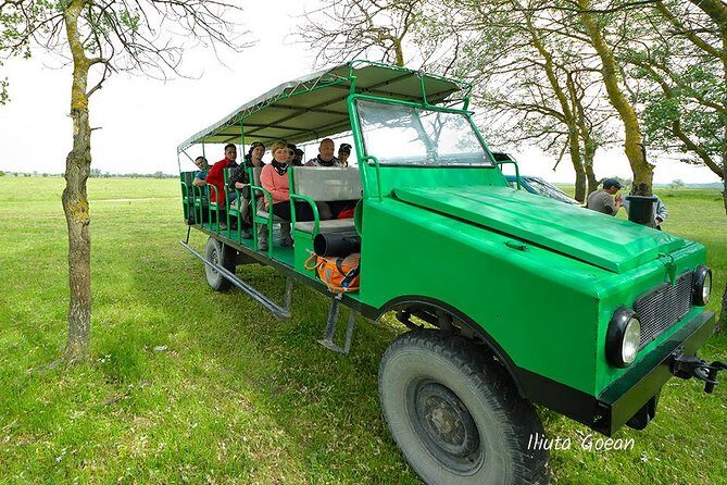 GROUP Guided Day Trip to the Danube Delta, Tulcea - Letea - Who Is This Tour Best For?