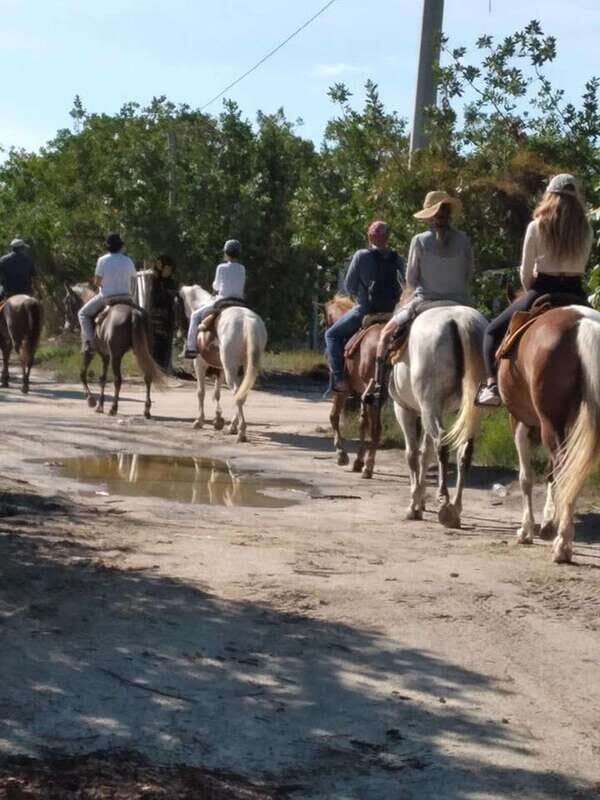 Group horseback ride on Holbox Island, Quintana Roo - Key Points