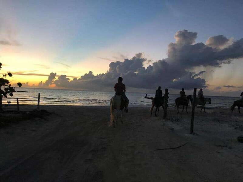 Group horseback ride on Holbox Island, Quintana Roo - The Sum Up