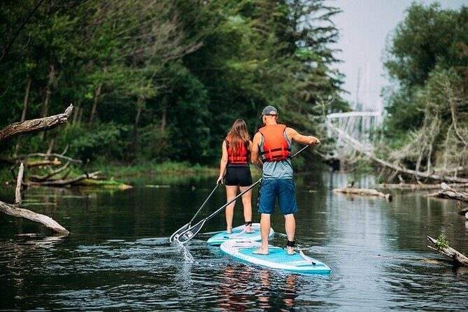 Group Intro to SUP in Toronto Island, Canada - Why This SUP Tour Offers Great Value