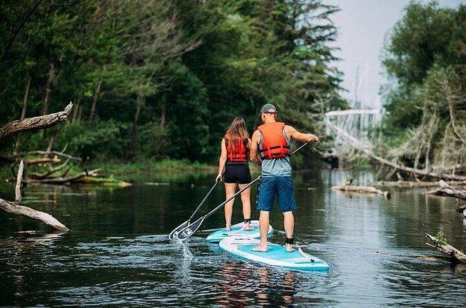 Group Intro to SUP in Toronto Island, Canada - Authentic Insights from Past Participants