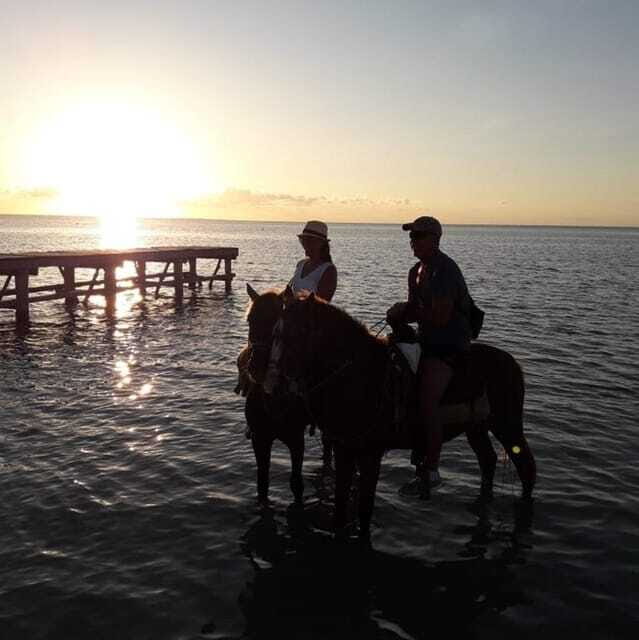 Group Tour of Holbox Island, Quintana Roo - Final thoughts: Is this horseback riding tour in Holbox right for you?